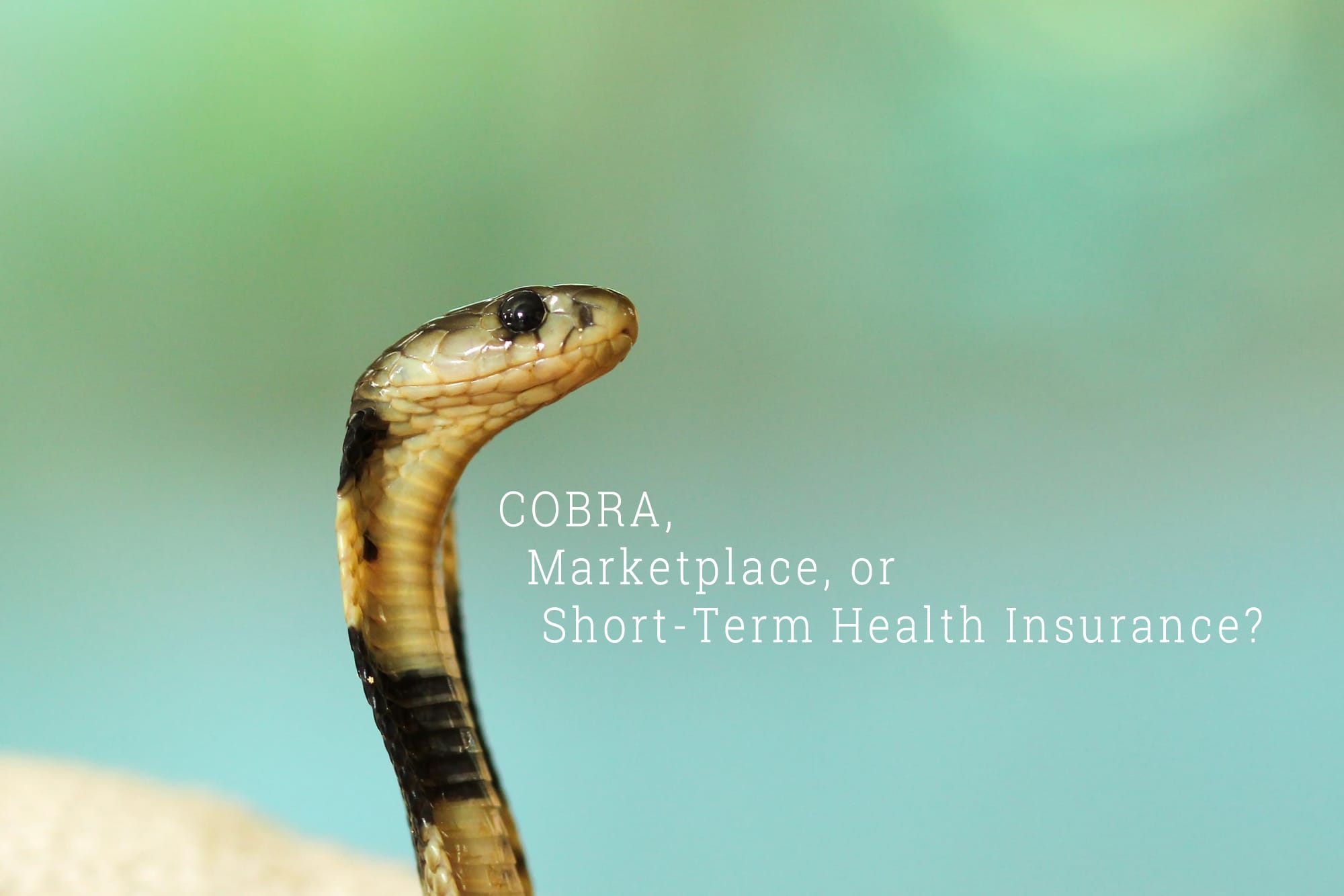 What are the best COBRA insurance alternatives? | Independent Health Agents